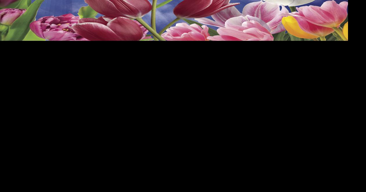 Cathy Litchfield Roush | Obituaries for River Cities Tribune and ...