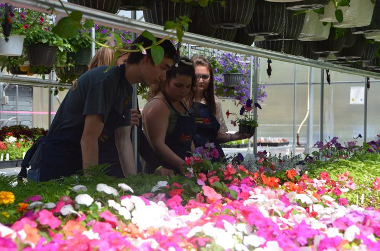 High school greenhouses open with post-Easter sunshine, in Harrison ...