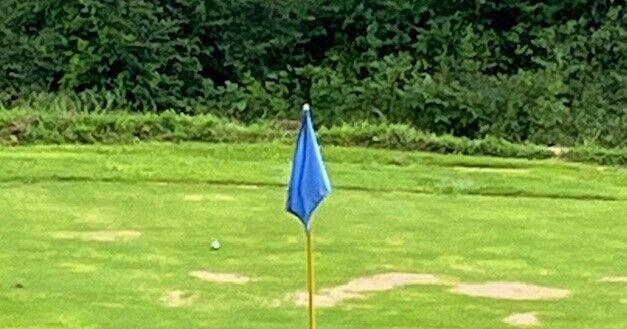Frankfort foursome, Keyser’s Ryan Pratt qualify for state golf ...