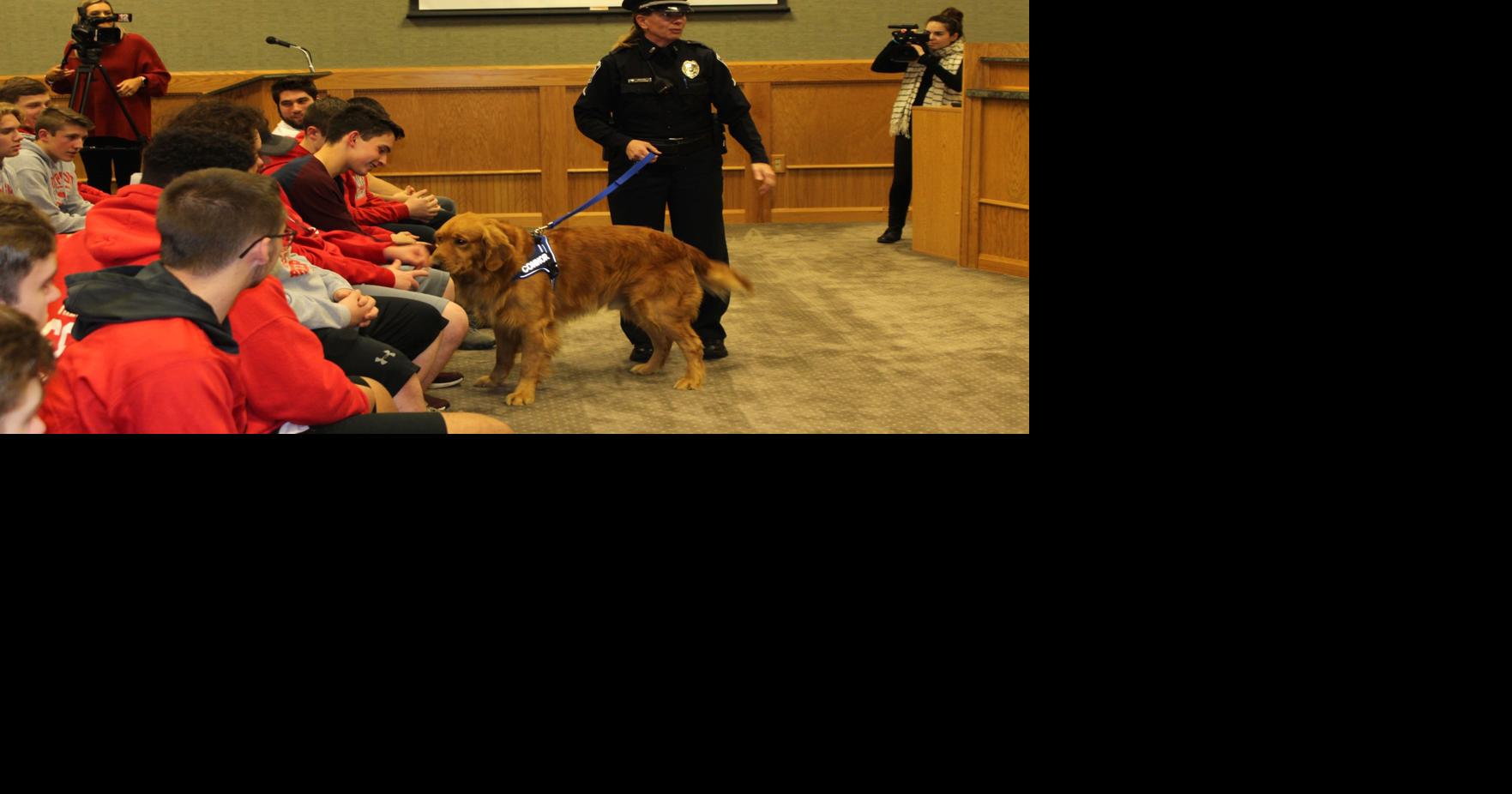 Bridgeport,WV, police officers promoted, new canine program introduced ...