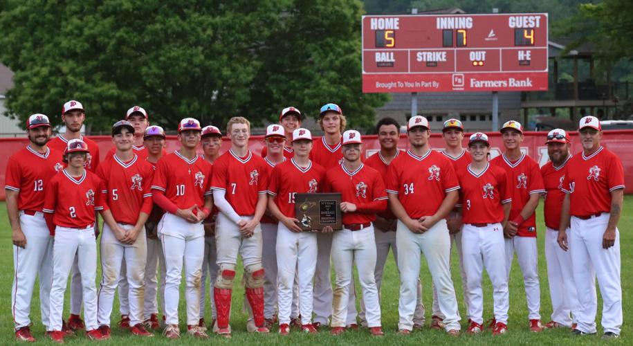 Freshman pitcher Young helps Wahama advance to state tourney | Point ...
