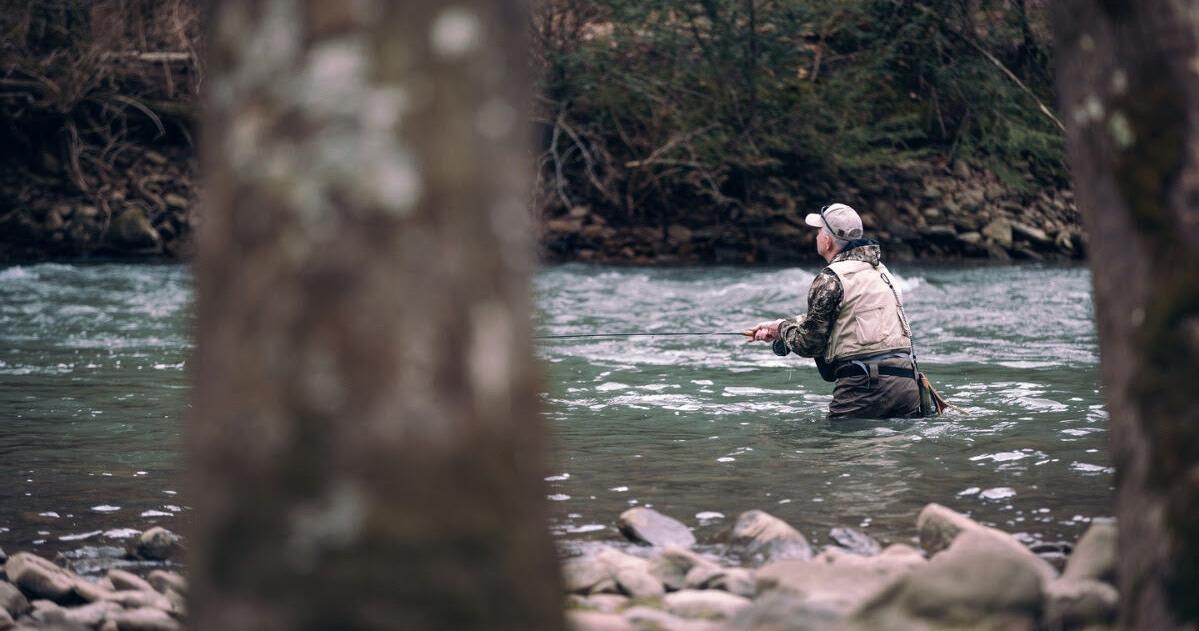 West Virginia DNR announces updated fishing regulations, new state ...