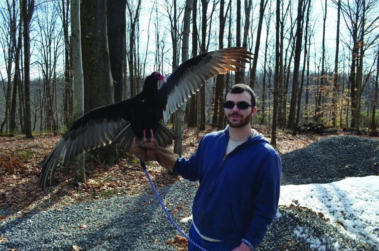 Birds of prey fly high at the WV Raptor Rehabilitation Center | NCWV ...