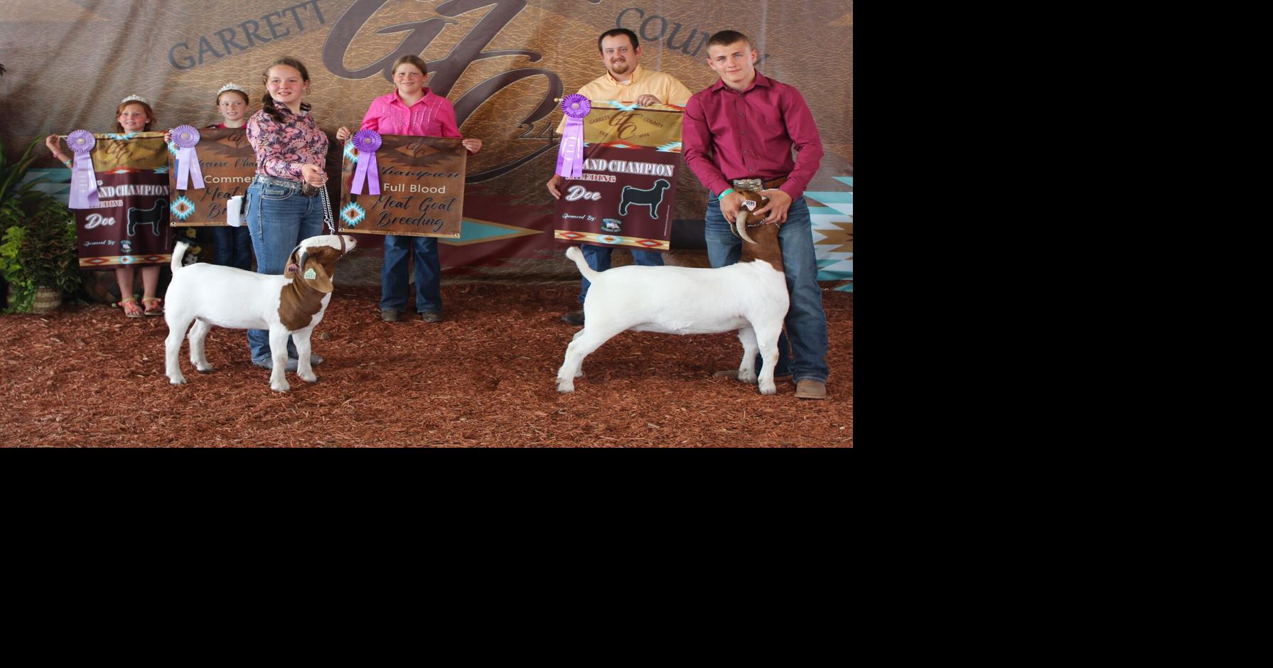 1 Goat Breeding Post.JPG | | wvnews.com