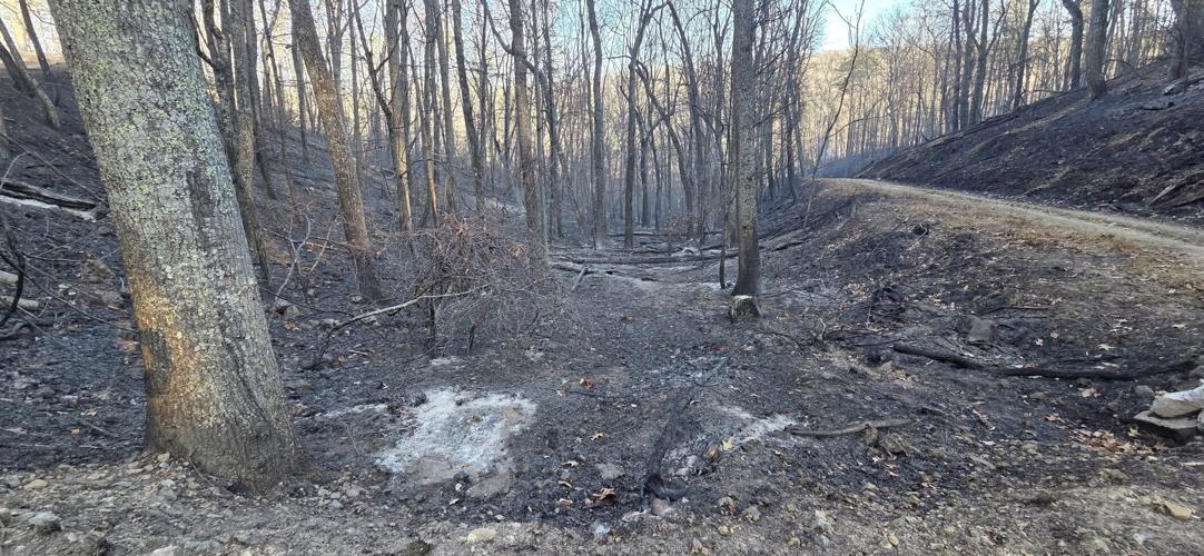 WV Wildfire Contained: Greenawalt Gap Fire Nears Full Control at 90% ...