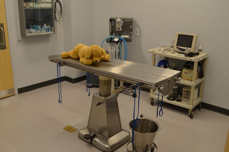 Pierpont holds ribbon cutting for Clarksburg, West Virginia,-based vet ...