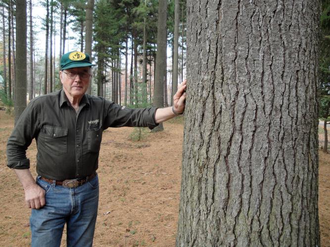 Preston County News & Journal - Obituaries | Preston County Obituaries ...