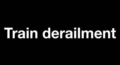 Soybean oil leaks from derailed Norfolk Southern train near West ...
