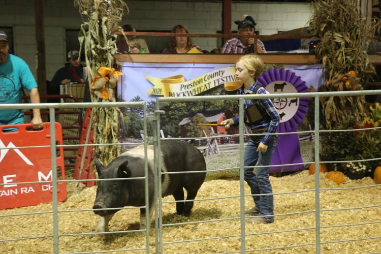 Swine 5 | Buckwheat Festival | wvnews.com