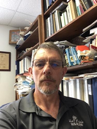 Archery deer season begins Sept. 29, preparations begin, officials say ...