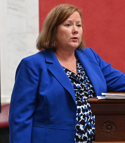 Dr. Persily: There is 'not an immediate crisis' for West Virginia's ...