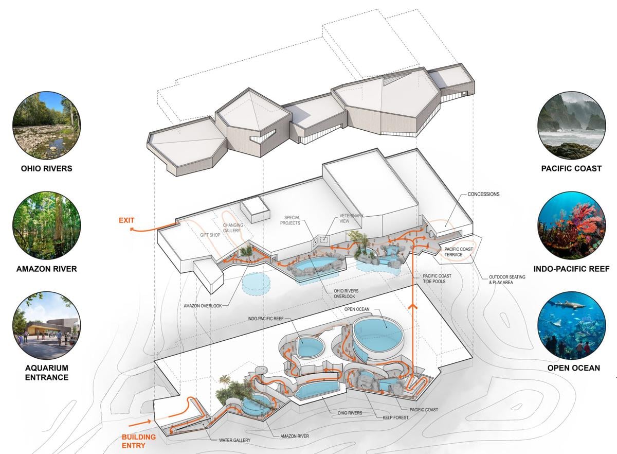 John F. Wolfe Aquarium guest flow diagram | | wvnews.com