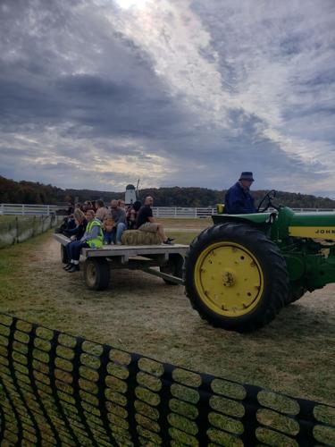 Bob Evans Farm Festival makes big return | Gallipolis News | wvnews.com