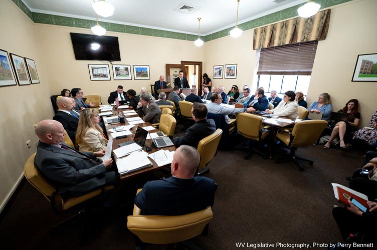 West Virginia House Education committee takes no action on student ...