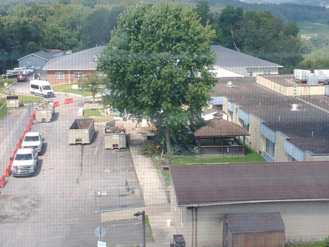 Memory of local man carries on with tree rededication at Grafton City ...