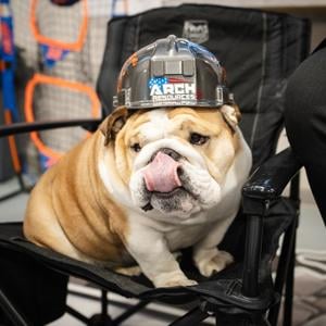 Babydog Justice turns 6: West Virginia Sen. Jim Justice’s beloved ...