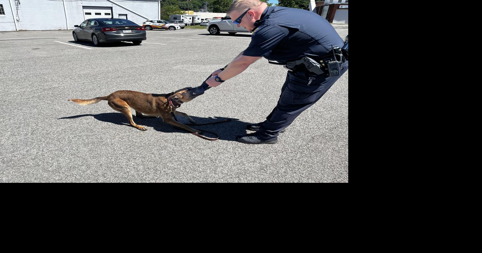 Deputy Chief Craig Cross marks one year at Weston (West Virginia ...