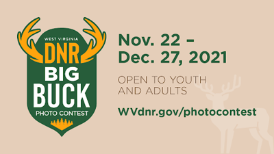 West Virginia announces 'Big Buck Photo Contest' | WV News | wvnews.com