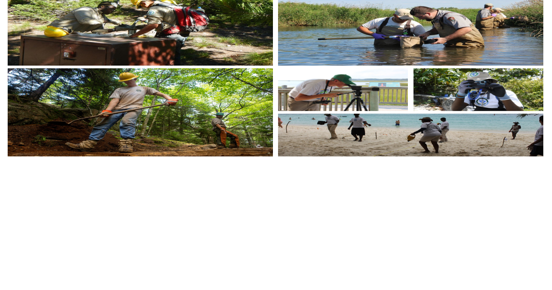 Applications accepted for YCC program at Camp Caesar | | wvnews.com