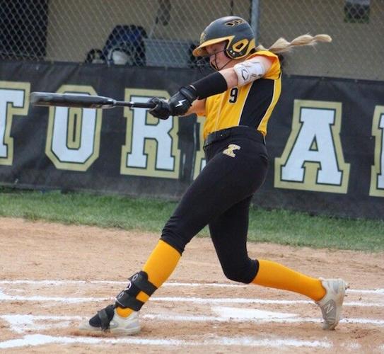 Storm halts sectional softball championship with Keyser up, 2-1 ...