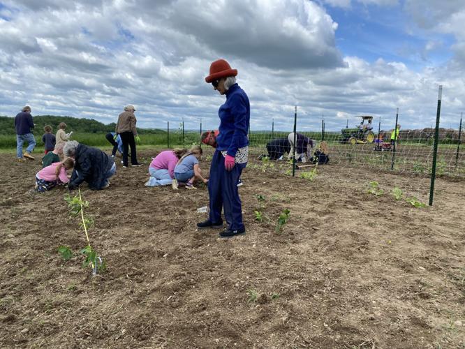 Masontown Community Garden celebrates launch at Preston County Youth ...