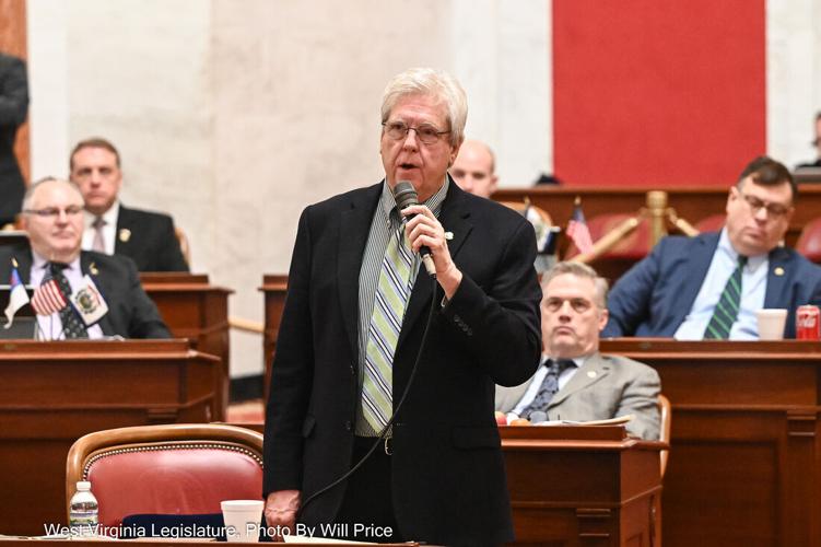 West Virginia Senate passes bill to create review team for deaths of ...