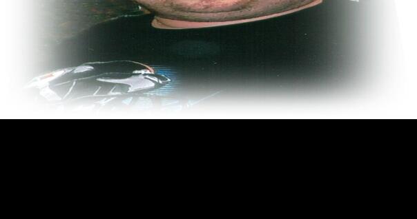 John Lipscomb | Preston County Obituaries | wvnews.com