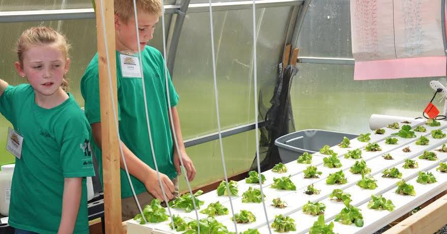 Crellin Elementary named federal Green Ribbon School | Garrett News ...