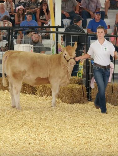 Meadows fair photo correction | Jackson Star and Herald - Ripley and ...