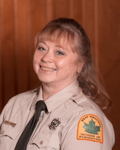 Forestry experts in West Virginia prepare for fall foliage | WV News ...