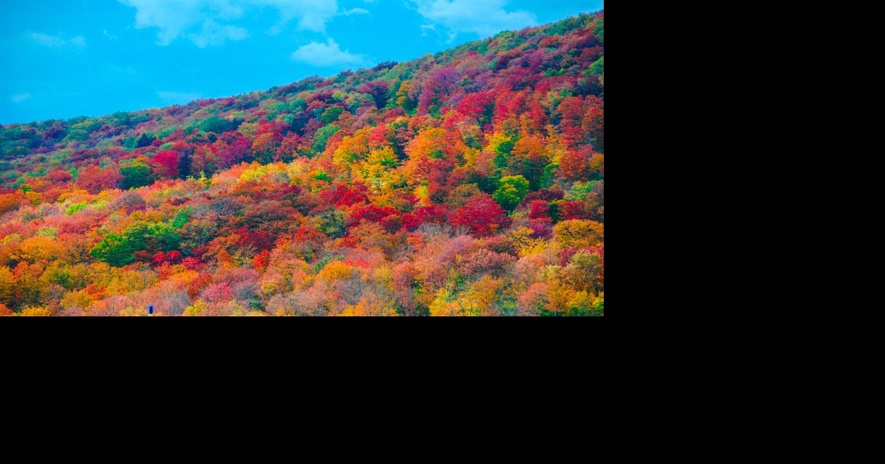 Celebrate Fall in West Virginia: A Seasonal Guide to Autumn Adventures ...