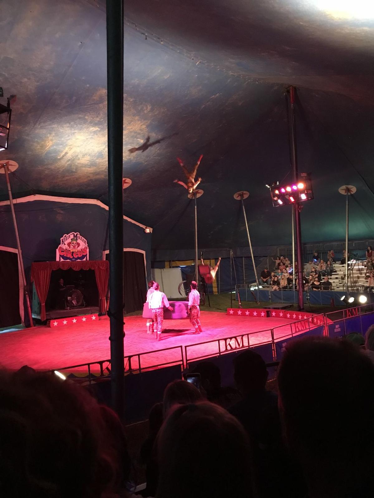 Kelly Miller Circus hosted at TALA | Lifestyles | wvnews.com