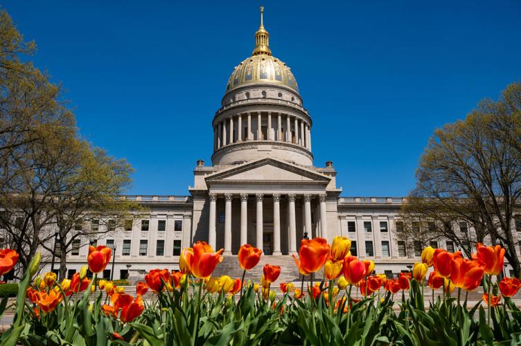 West Virginia Chamber PAC releases election endorsements | WV ...