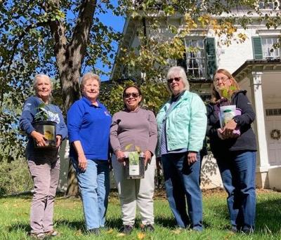 DAR members plant trees as special service project | | wvnews.com