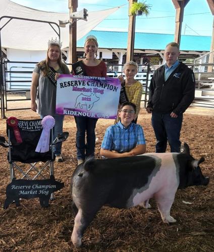 Meigs County Fair Livestock | Gallipolis, Pomeroy, Point Pleasant and ...