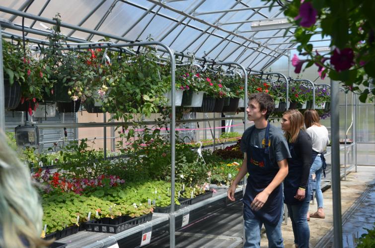 High school greenhouses open with post-Easter sunshine, in Harrison ...