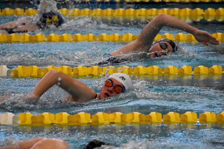 Bridgeport boys, Elkins girls dominate Big 10 swim meet | | wvnews.com