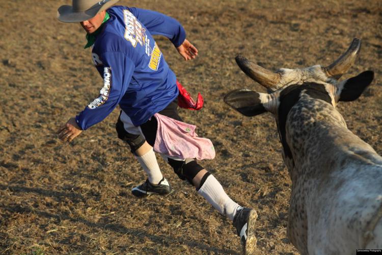 Spiker Bull Ride: A Lewis County, WV, tradition | Harrison News ...