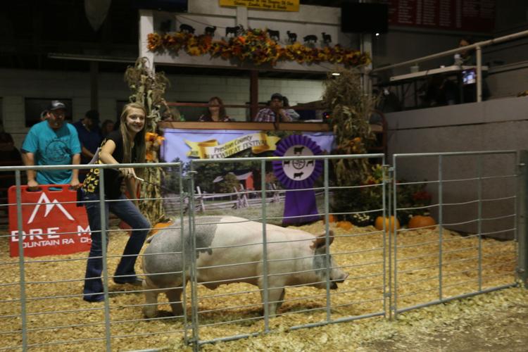 Swine 12 | Buckwheat Festival | wvnews.com