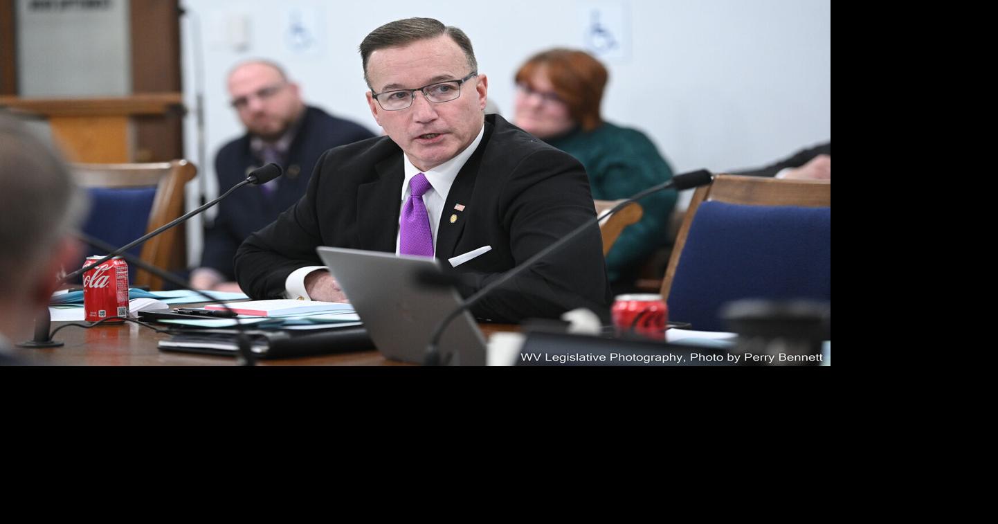 West Virginia House Judiciary Committee takes up bills on immigration ...