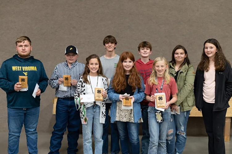 Mason County 4-Hers honored for outstanding achievement | | wvnews.com