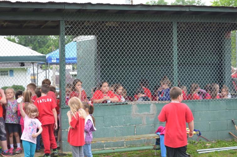 North View Elementary students run for a "piece of the pie" | Local ...