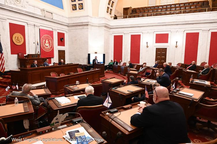 Deskins presents economic outlook to West Virginia lawmakers | State ...