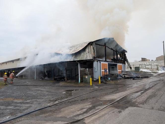 WVU J.W. Ruby Research Farm officials plan look to recover after barn ...