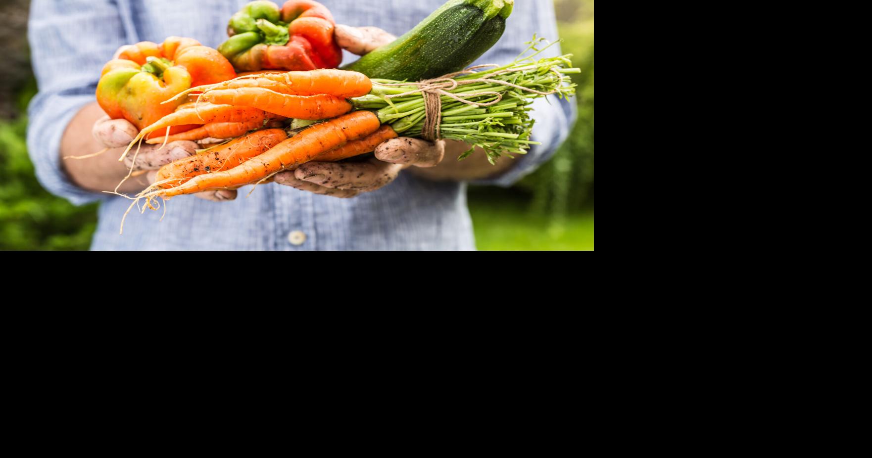 Health experts question MAHA-inspired policies as West Virginia ...