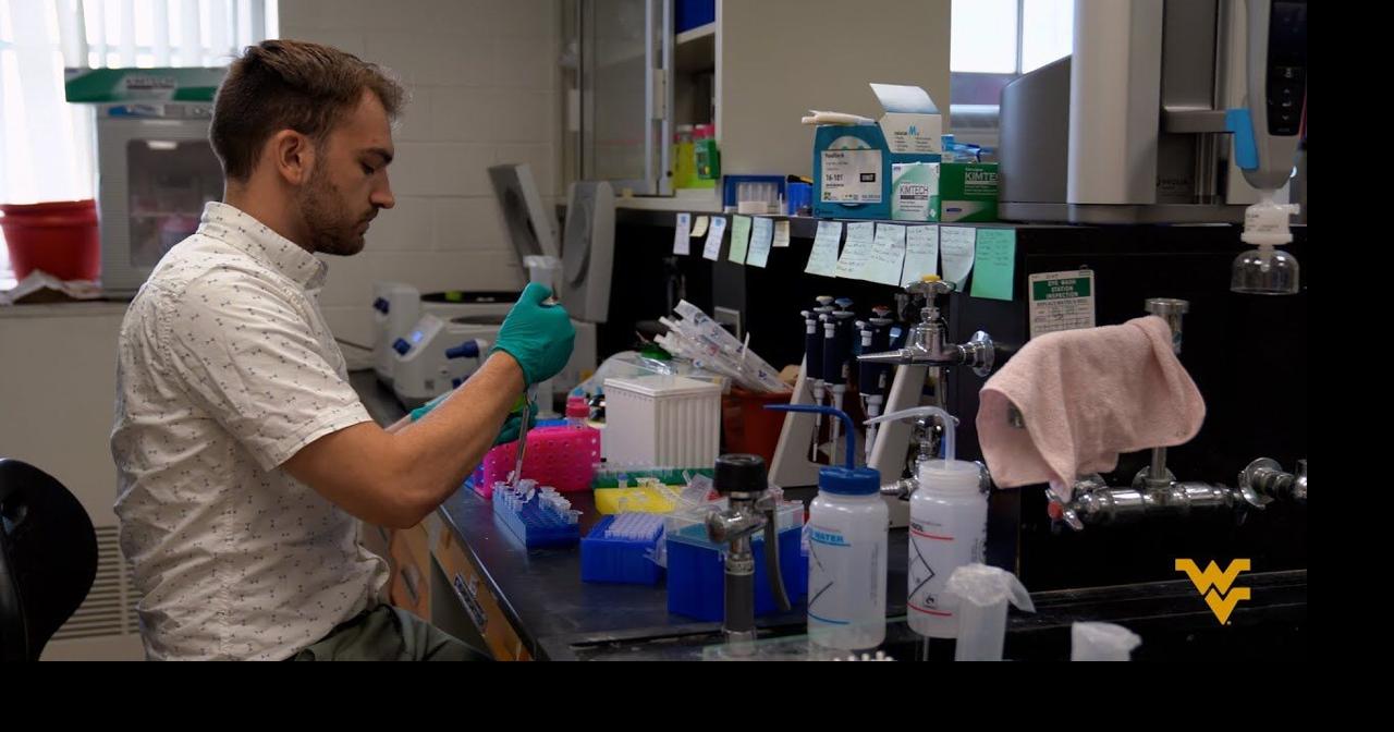 WVU researchers capture atomic view of synthetic DNA | WV News | wvnews.com