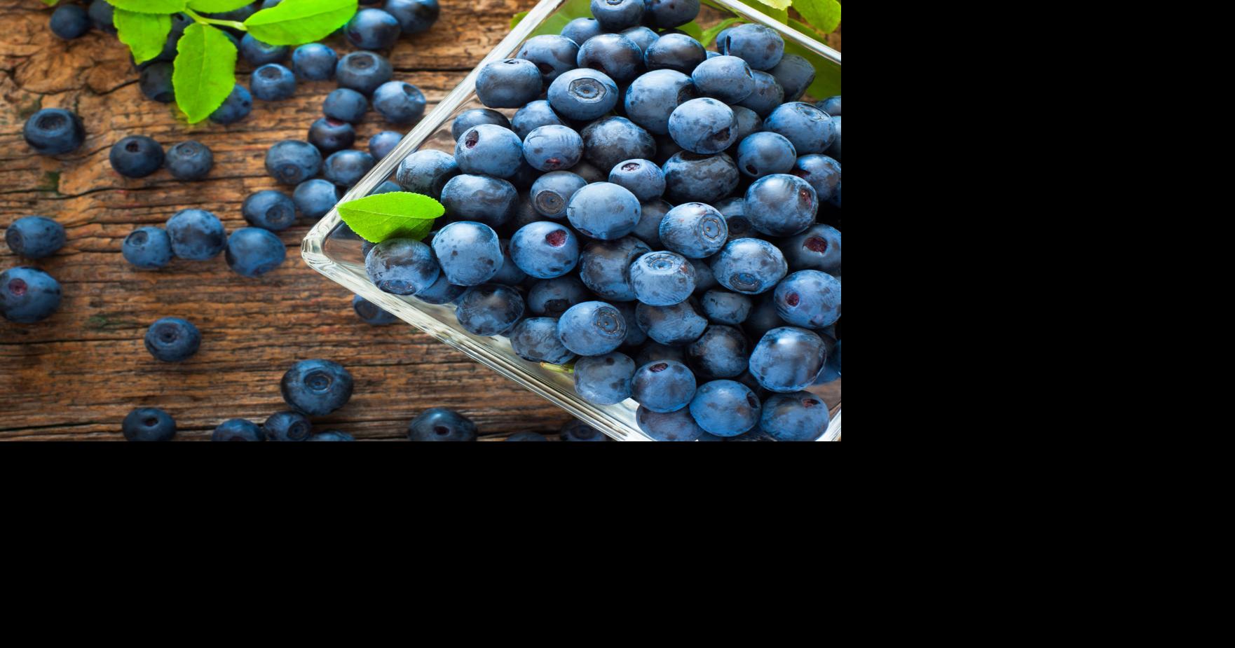 Peak Blueberry Season in West Virginia: A Guide to Optimal Berry ...