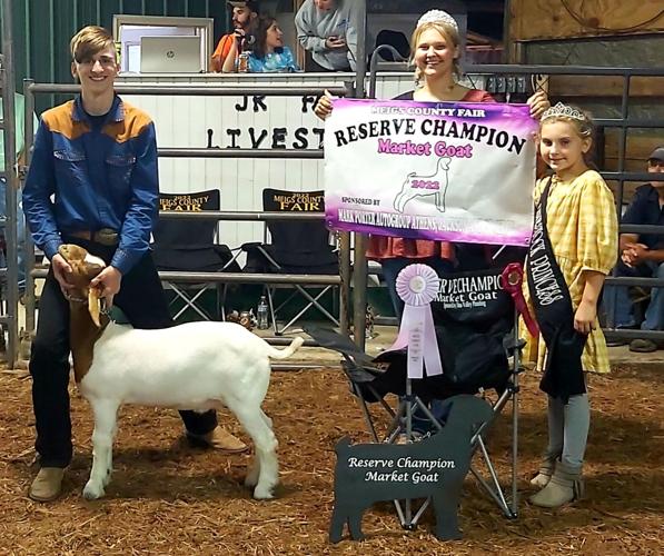 Meigs County Fair Livestock | Gallipolis, Pomeroy, Point Pleasant and ...