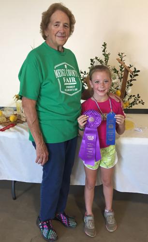 Meigs County Fair flower show | | wvnews.com