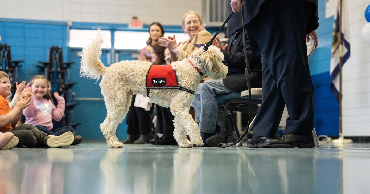 First Lady Justice introduces newest Friends With Paws therapy dog at ...